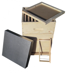 ruche voirnot - ICKO Apiculture - BLOG