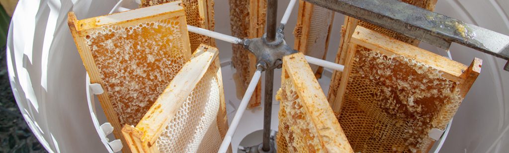 Vente de matériel apiculture, équipement apiculteur - Icko, fournisseur ...