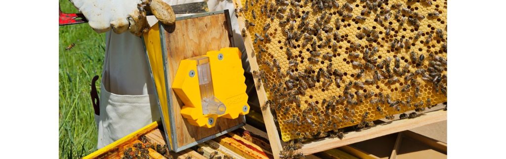 L'enfumoir électrique Apisolis : la révolution au service de l'apiculture